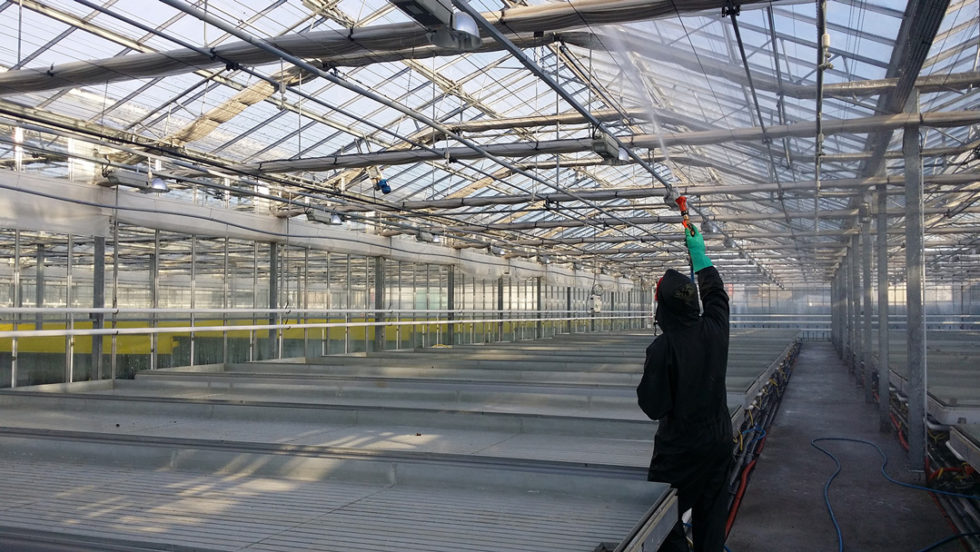 Désinfection des serres et des supports de culture | Traita Service